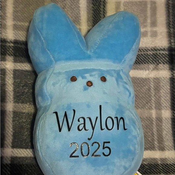 Toys | Plush Bunny Stuffy | Poshmark